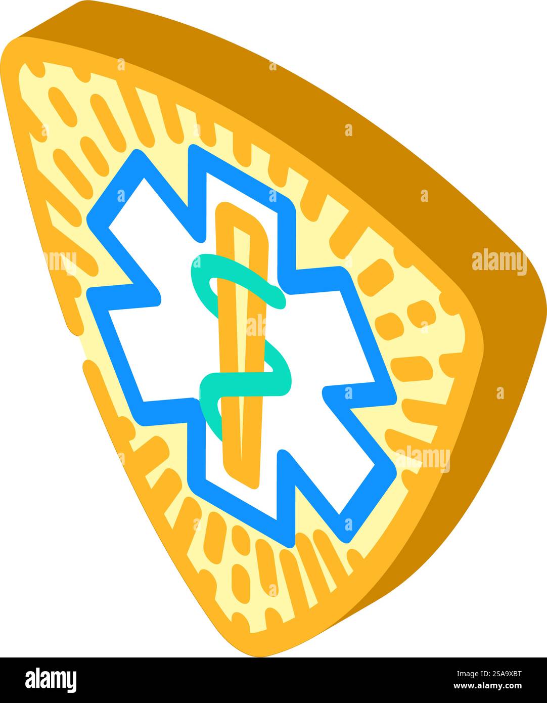 emt badge ambulance isometric icon vector. emt badge ambulance sign ...