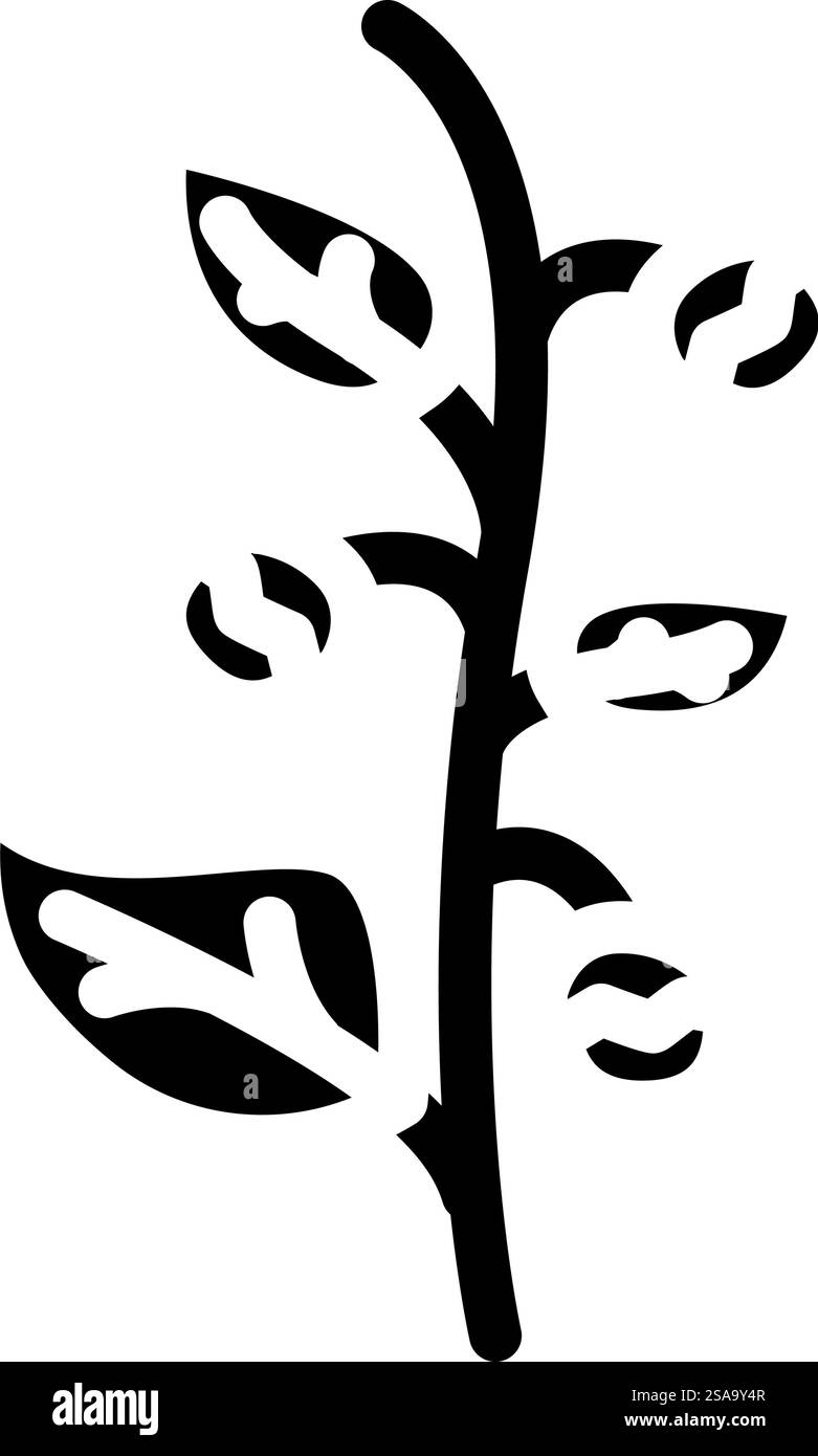 ashwagandha ayurvedic herb glyph icon vector. ashwagandha ayurvedic ...