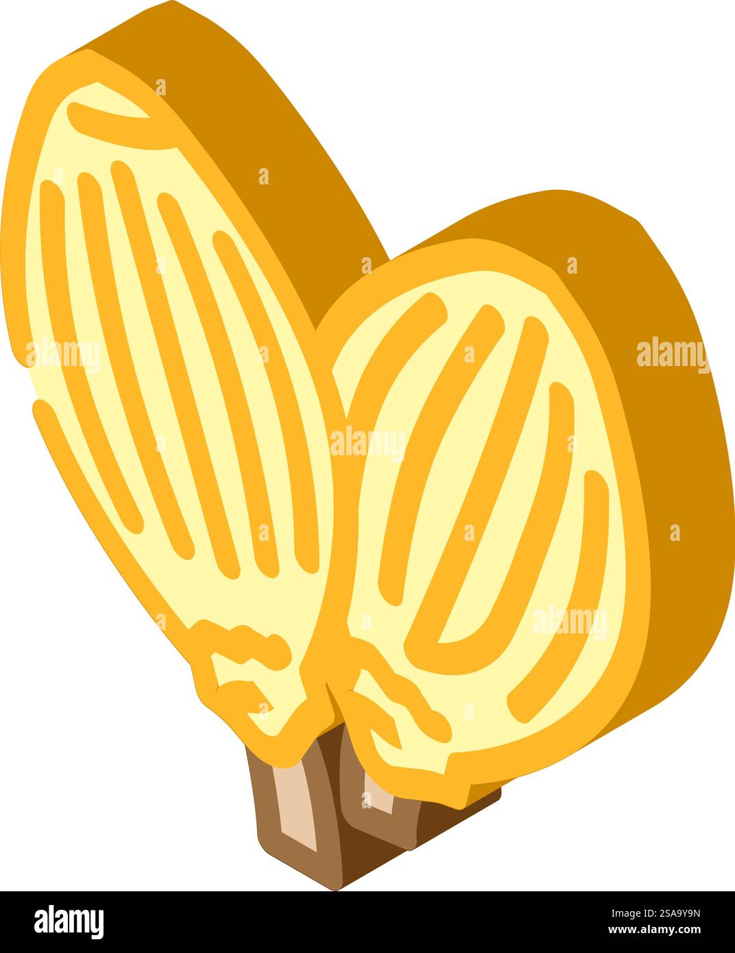 coriander seeds ayurvedic herb isometric icon vector. coriander seeds ...