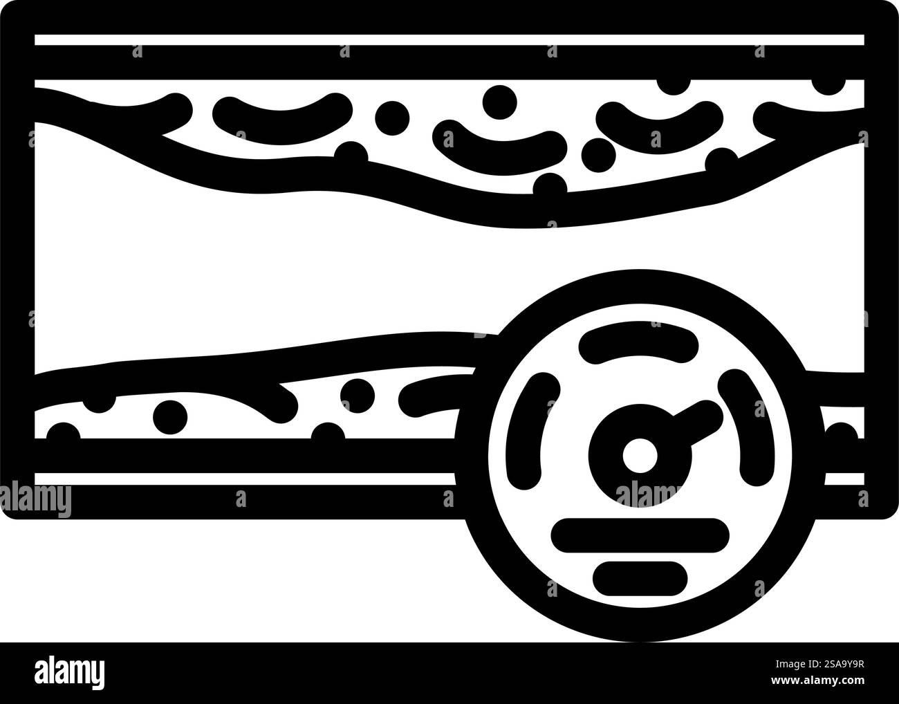 hypertension obesity overweight line icon vector. hypertension obesity ...