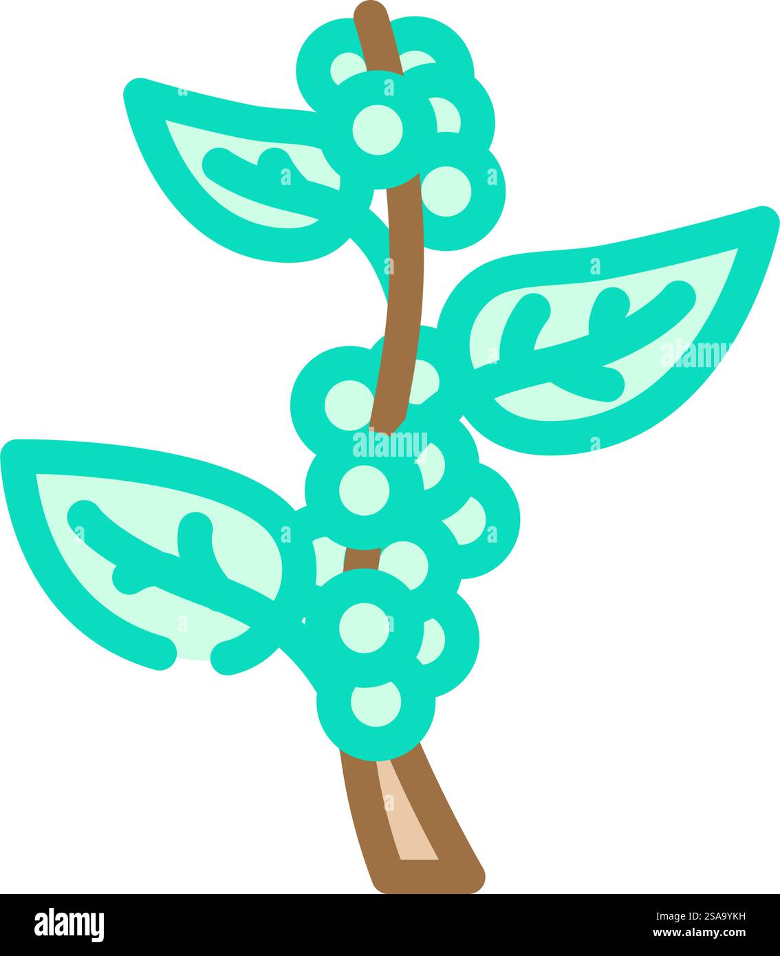 guggul ayurvedic herb color icon vector. guggul ayurvedic herb sign ...