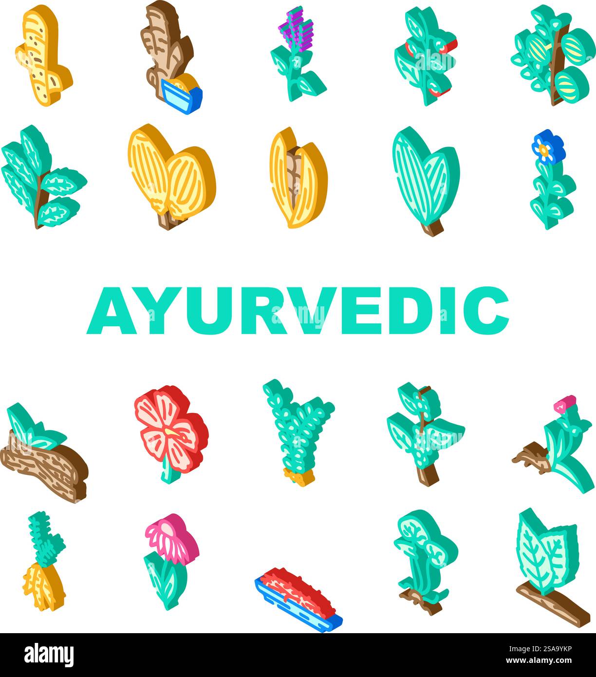 ayurvedic herbs medical icons set vector. ashwagandha turmeric, brahmi ...