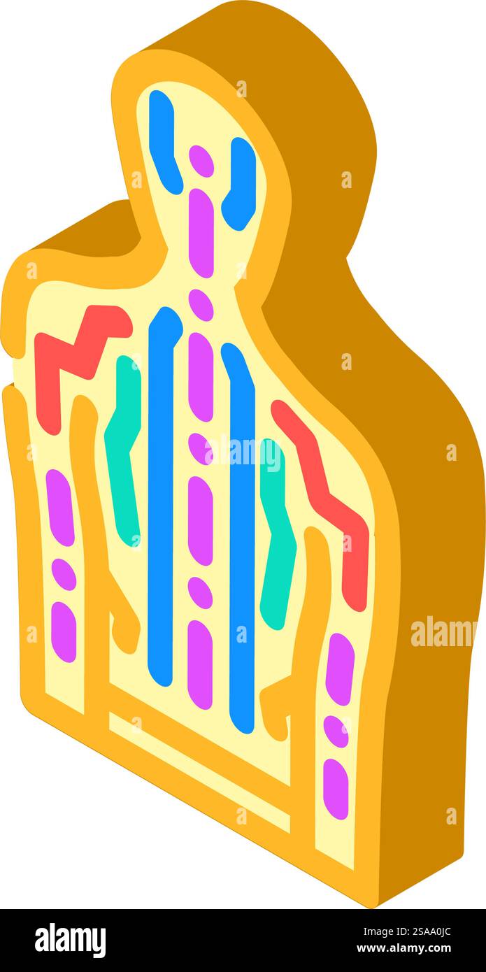 meridian pathways acupuncture isometric icon vector. meridian pathways ...