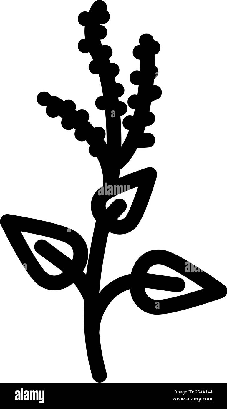 holy basil ayurvedic herb line icon vector. holy basil ayurvedic herb ...