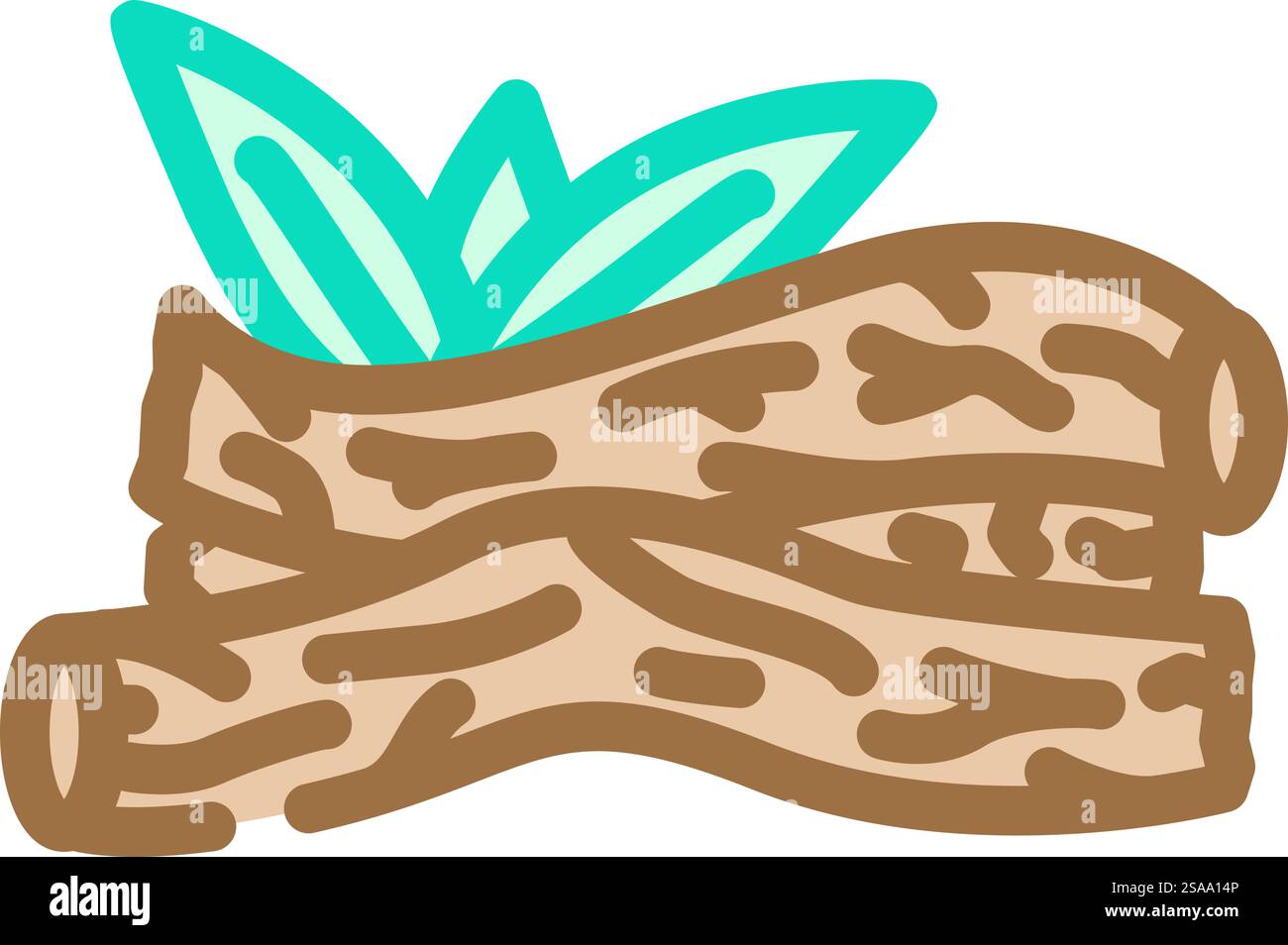 licorice root ayurvedic herb color icon vector. licorice root ayurvedic ...