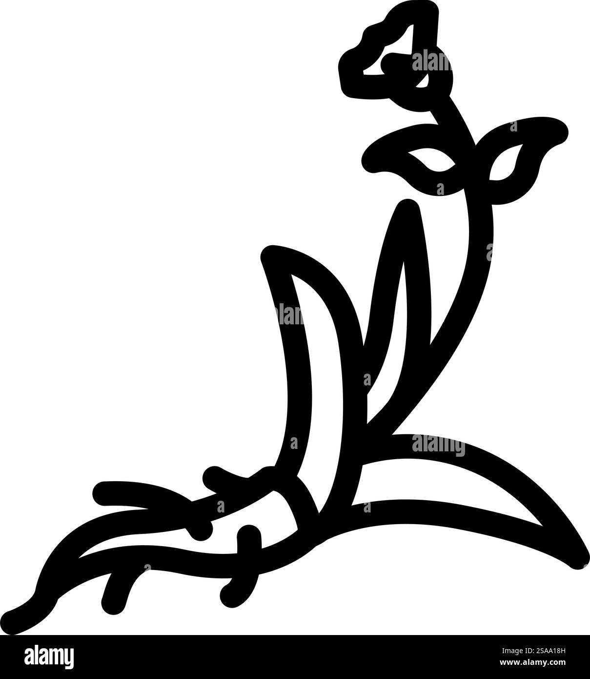 jatamansi ayurvedic herb line icon vector. jatamansi ayurvedic herb ...