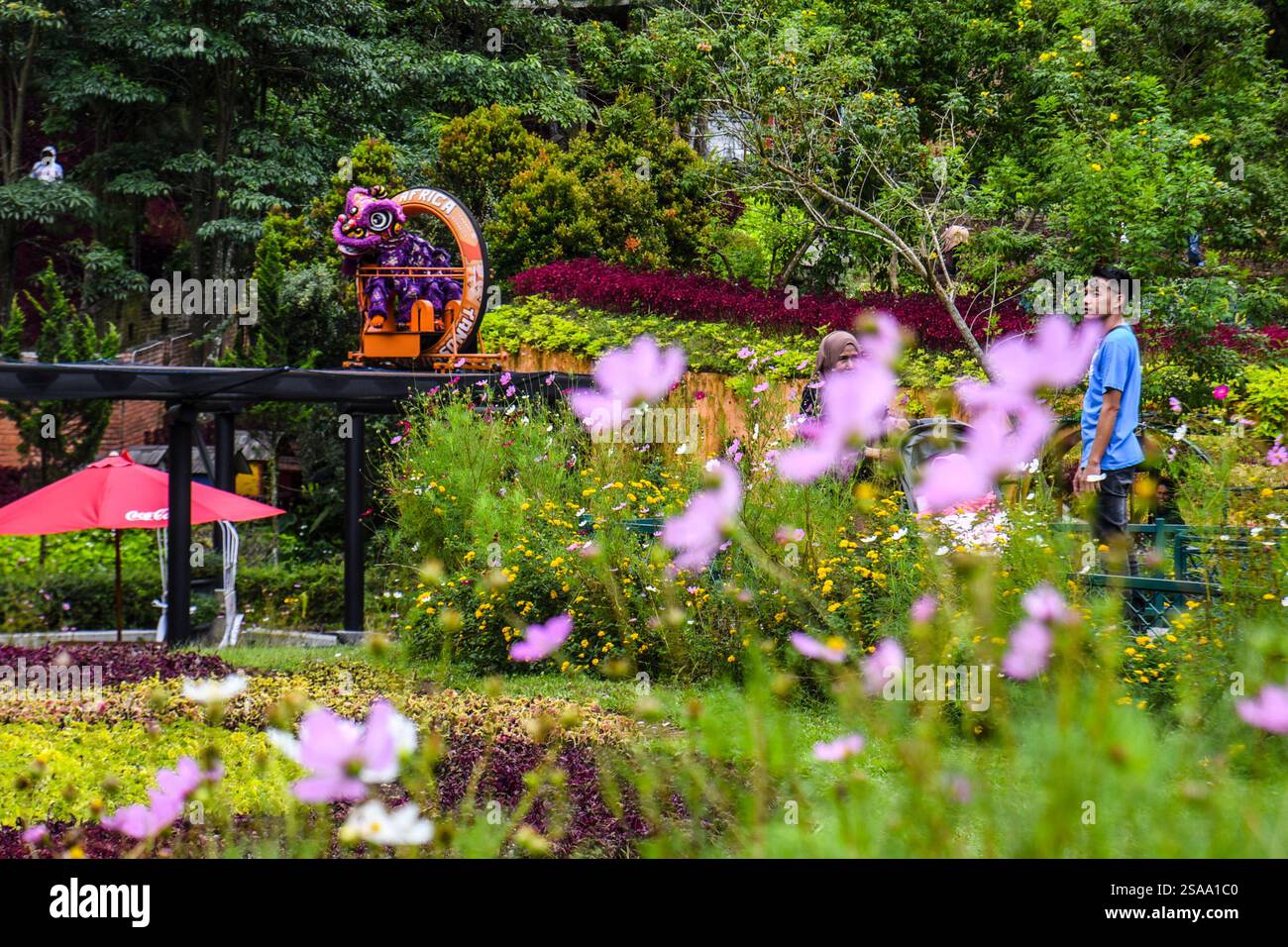 January 29, 2025, West Bandung Regency, West Java, Indonesia: The lion ...