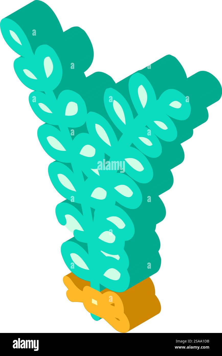 moringa leaves ayurvedic herb isometric icon vector. moringa leaves ...