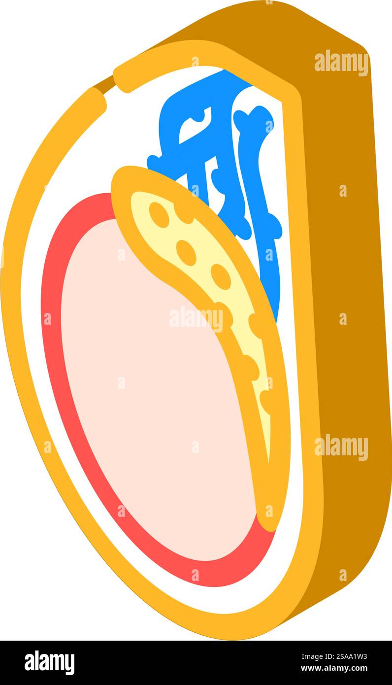 varicocelectomy surgery isometric icon vector. varicocelectomy surgery ...
