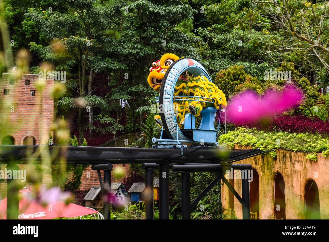 January 29, 2025, West Bandung Regency, West Java, Indonesia: The lion ...