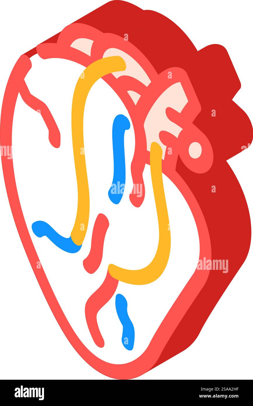 heart bypass surgery isometric icon vector. heart bypass surgery sign ...