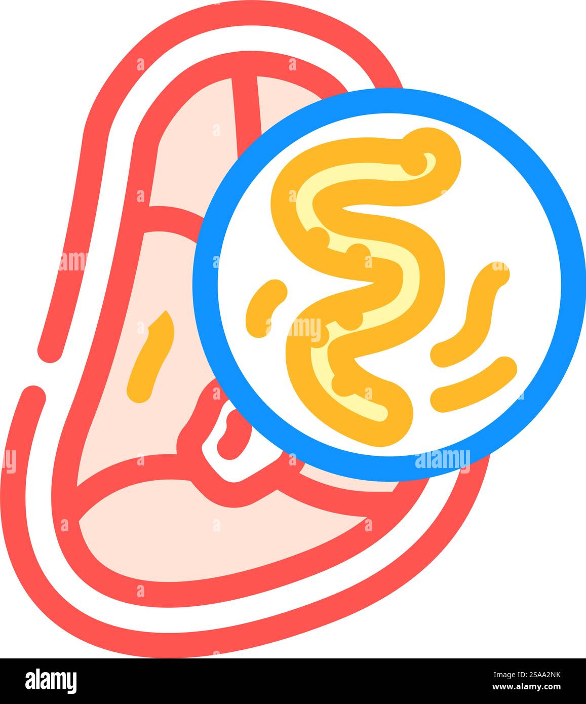 helminth meat parasite color icon vector. helminth meat parasite sign ...