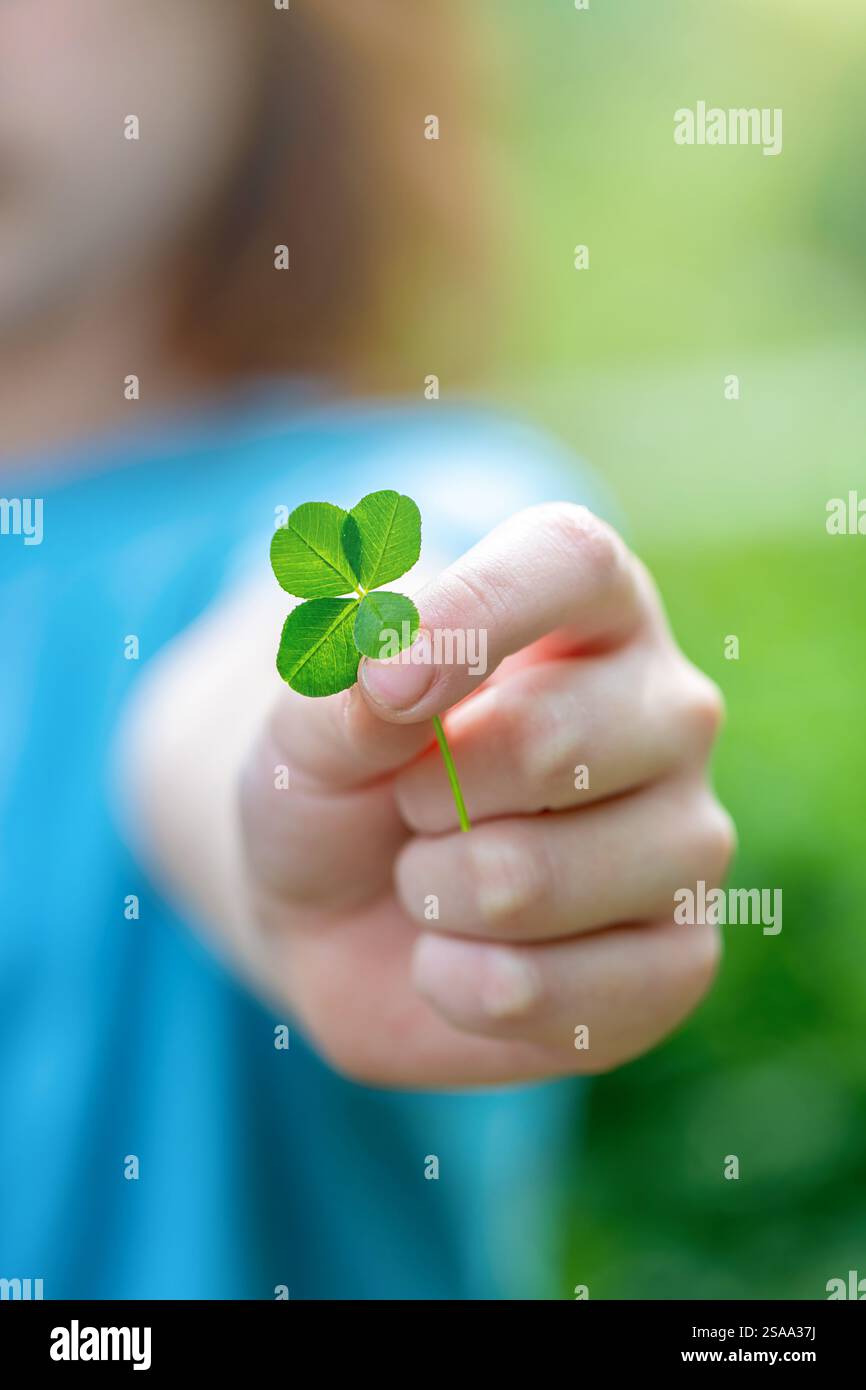 a child's hand holds a plucked green four-leaf clover, a symbol of good ...