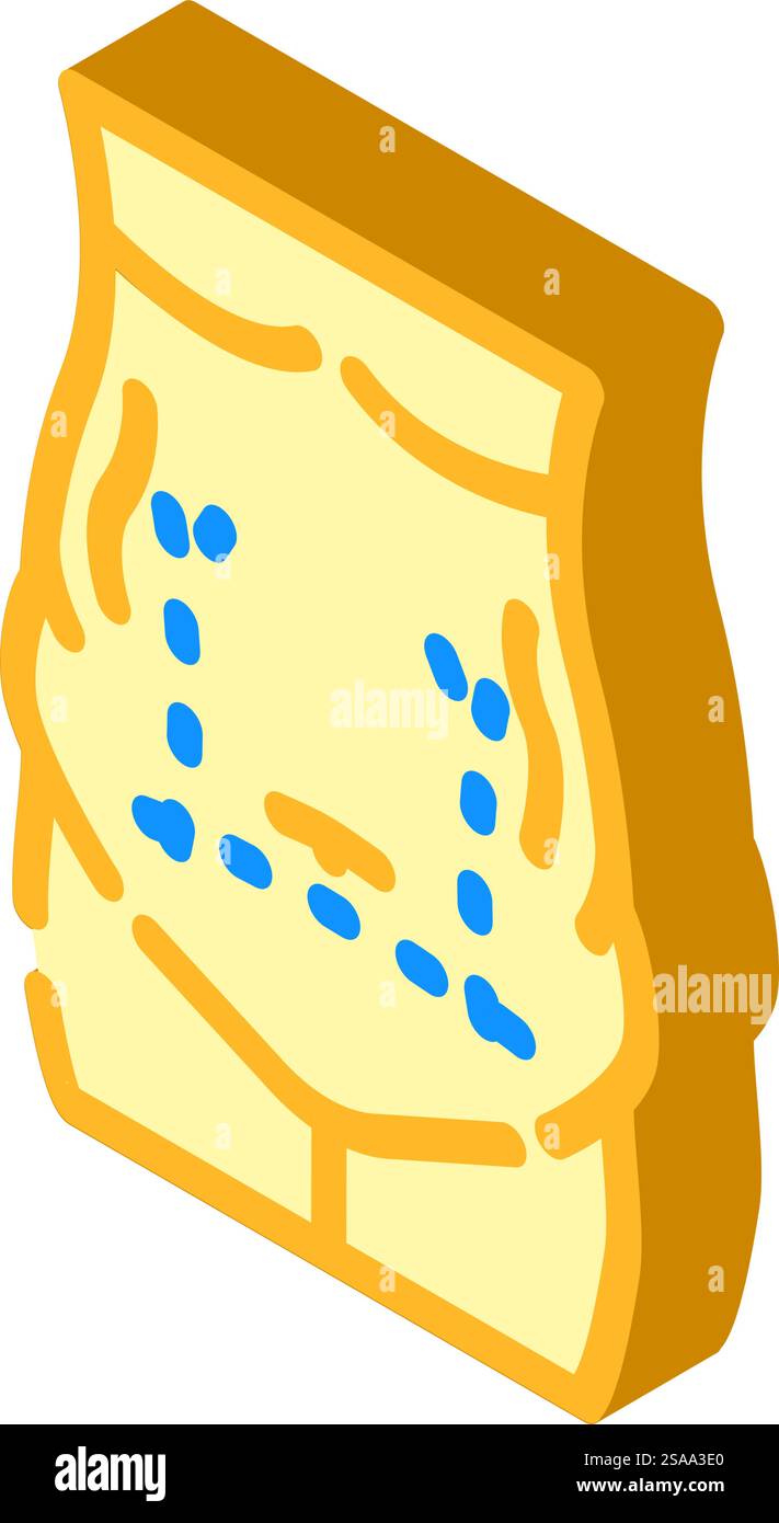 tummy tuck surgery isometric icon vector. tummy tuck surgery sign ...