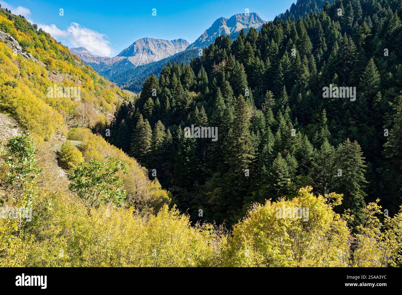 Landscape at the area of the Agrafa Mountains in Central Greece Stock ...
