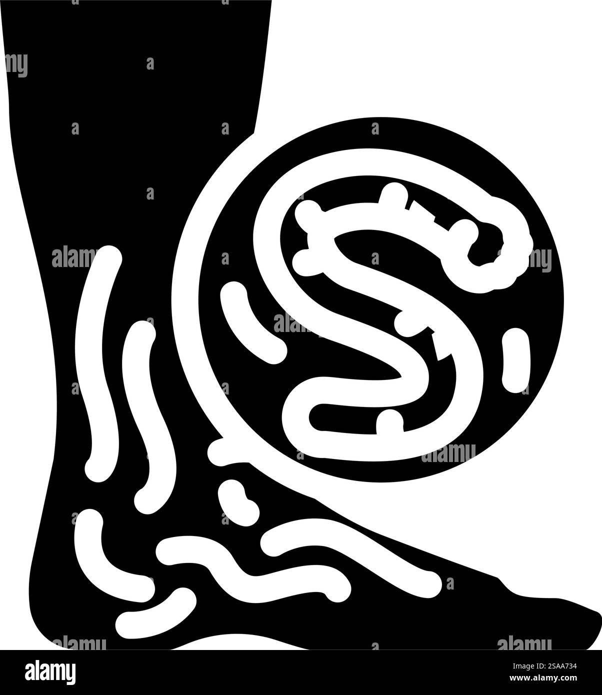 hookworm parasite glyph icon vector. hookworm parasite sign. isolated ...