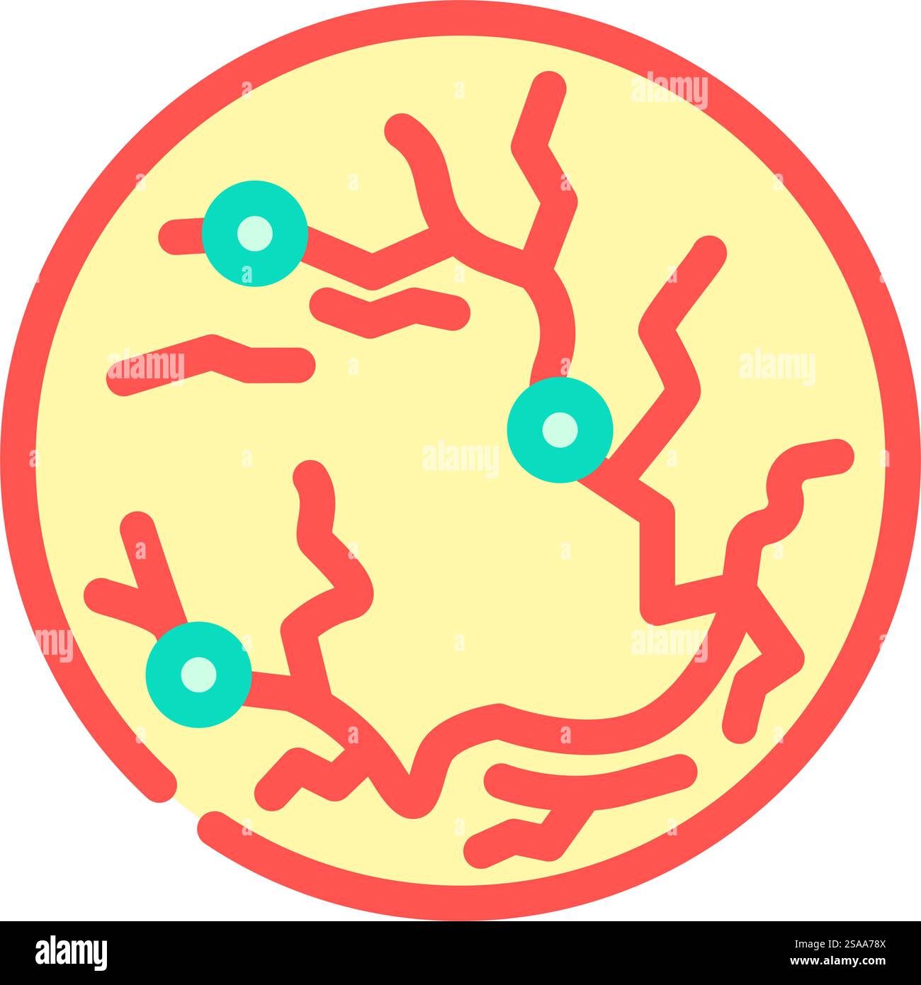 Retina Scan Biometric Color Icon Vector Retina Scan Biometric Sign Isolated Symbol