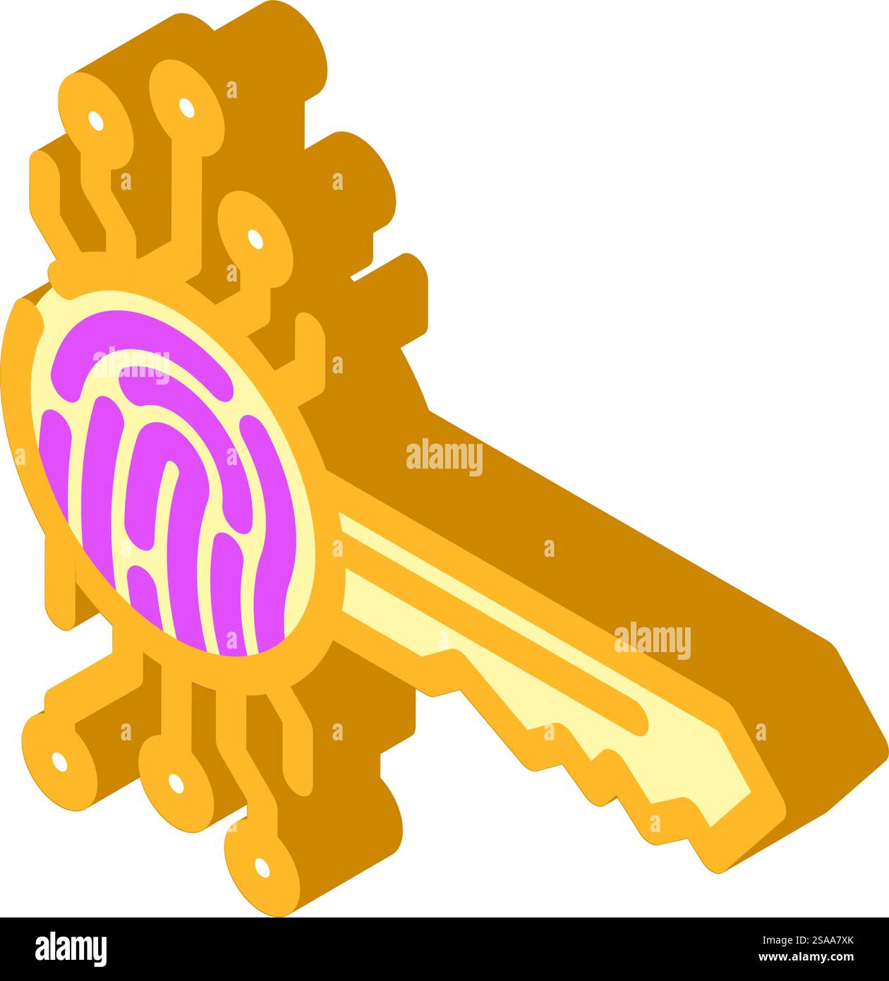 encryption biometric isometric icon vector. encryption biometric sign ...