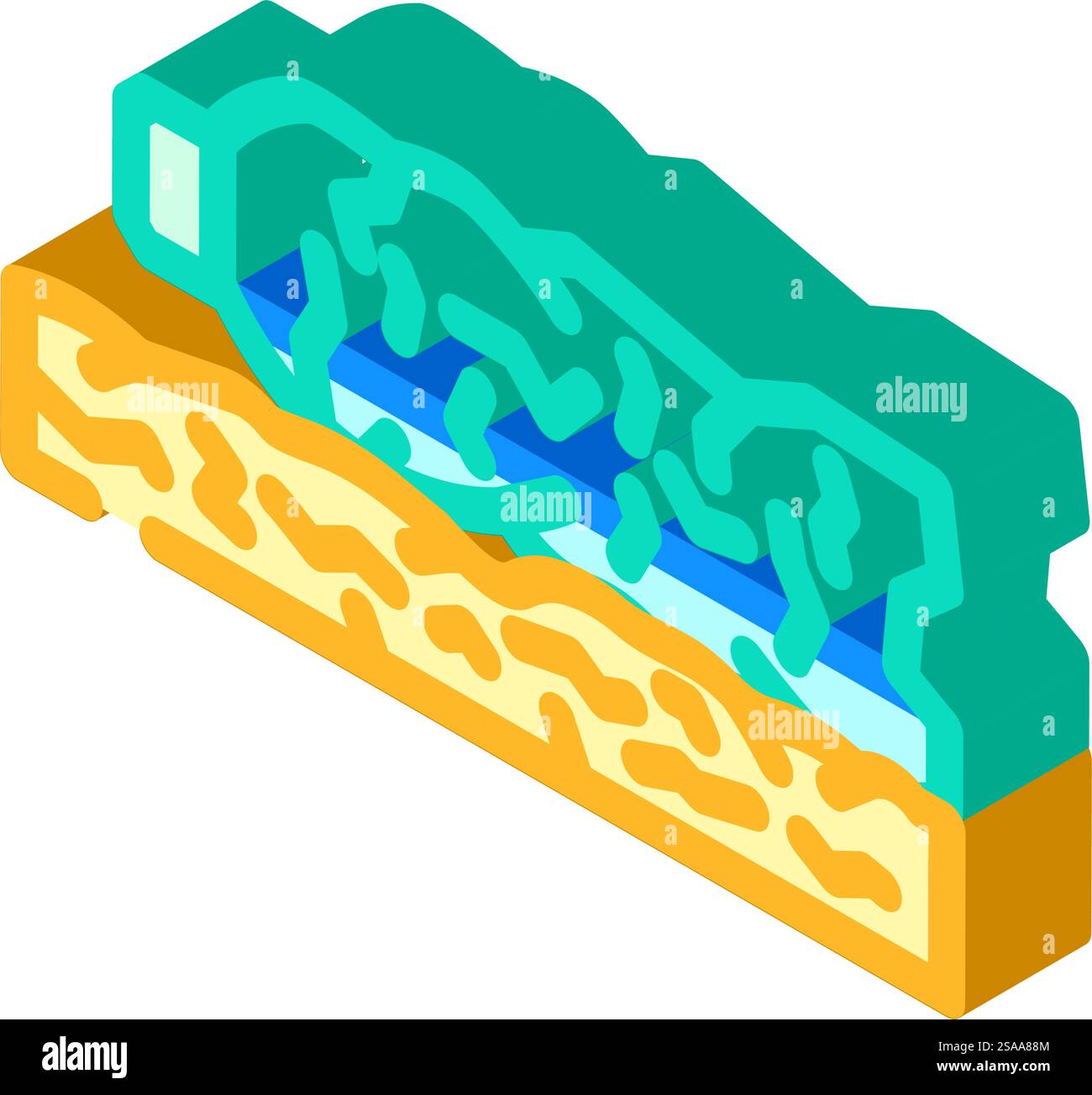 scarcity water saving isometric icon vector. scarcity water saving sign ...