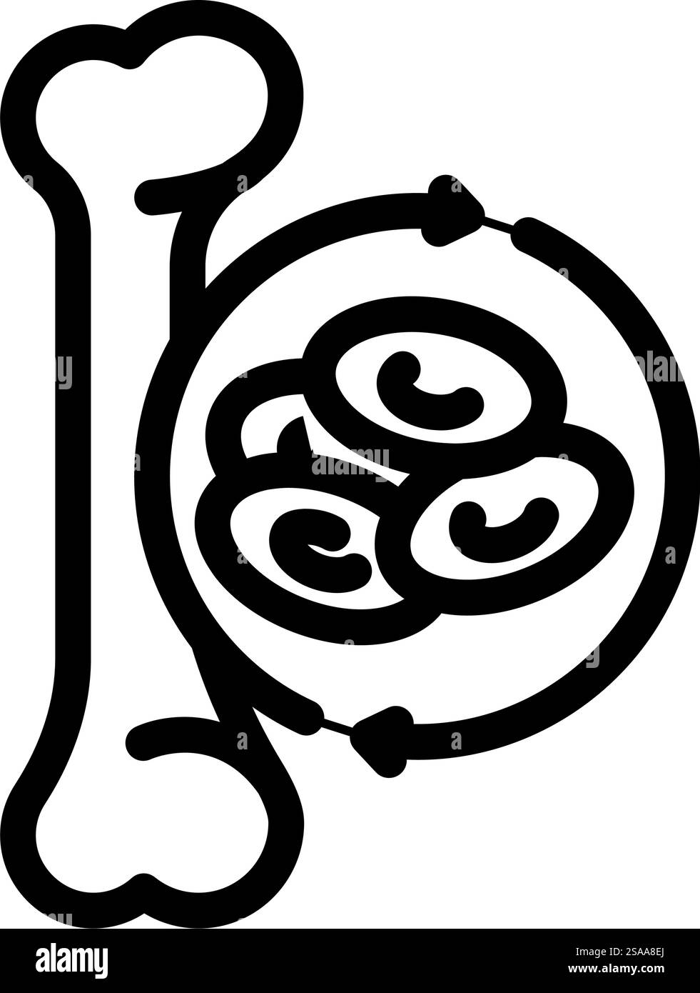 bone marrow transplant cancer treatment line icon vector. bone marrow ...