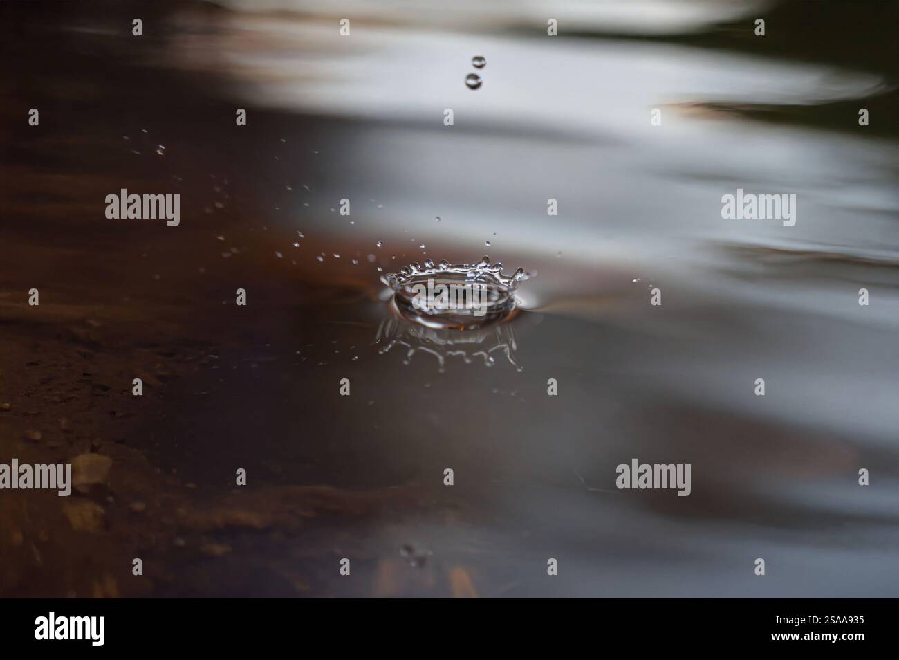 Water drop falling into the water. Splash effect after collision a ...