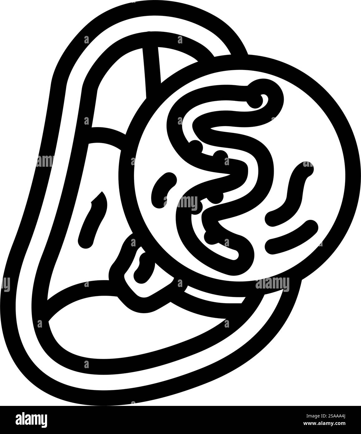 helminth meat parasite line icon vector. helminth meat parasite sign ...