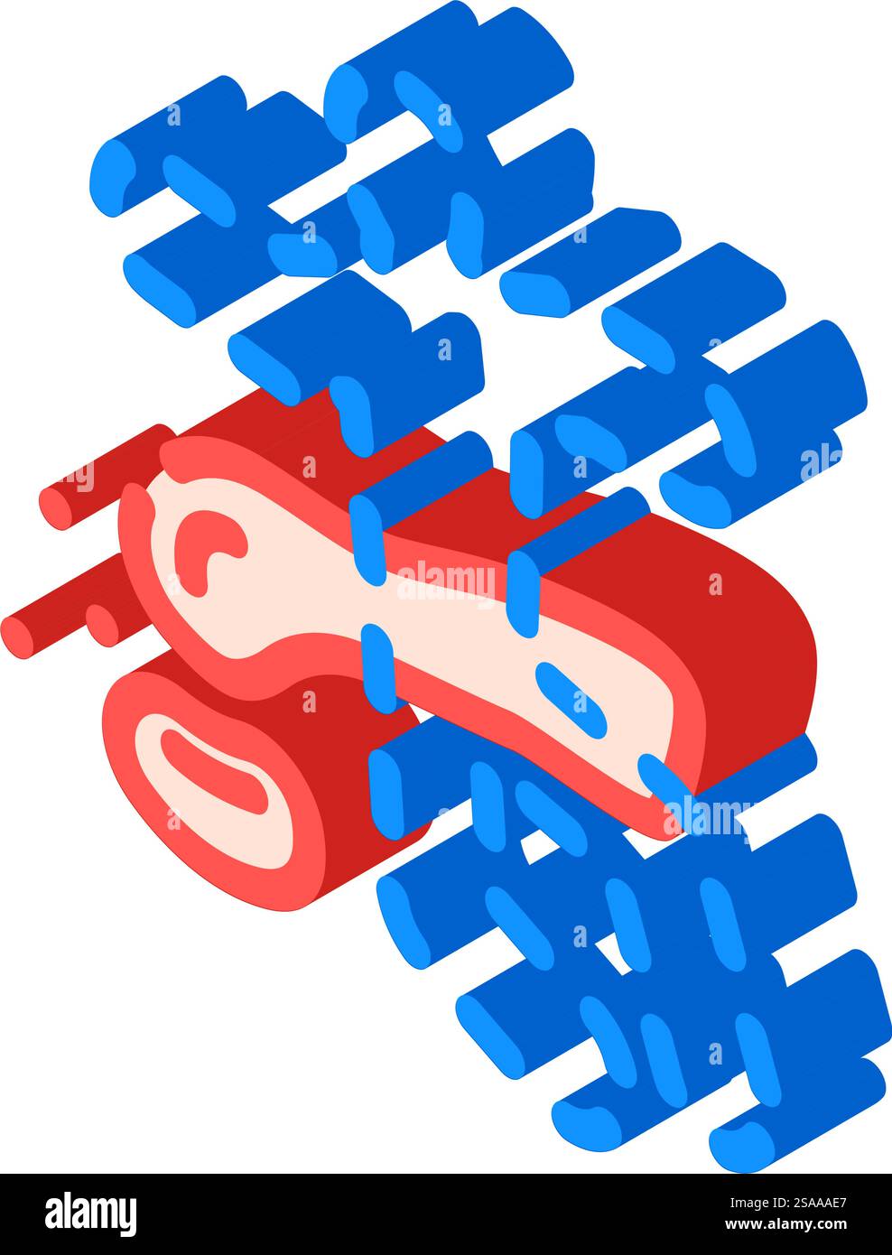 homicide crime isometric icon vector. homicide crime sign. isolated ...