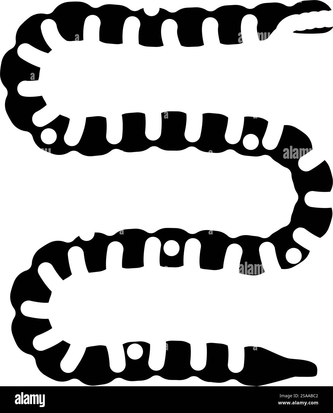 tapeworm parasite glyph icon vector. tapeworm parasite sign. isolated ...