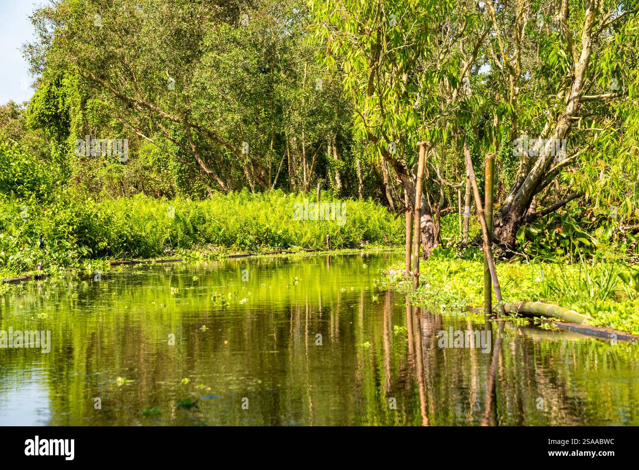 Beautiful river in Asia with a boat Stock Photo - Alamy