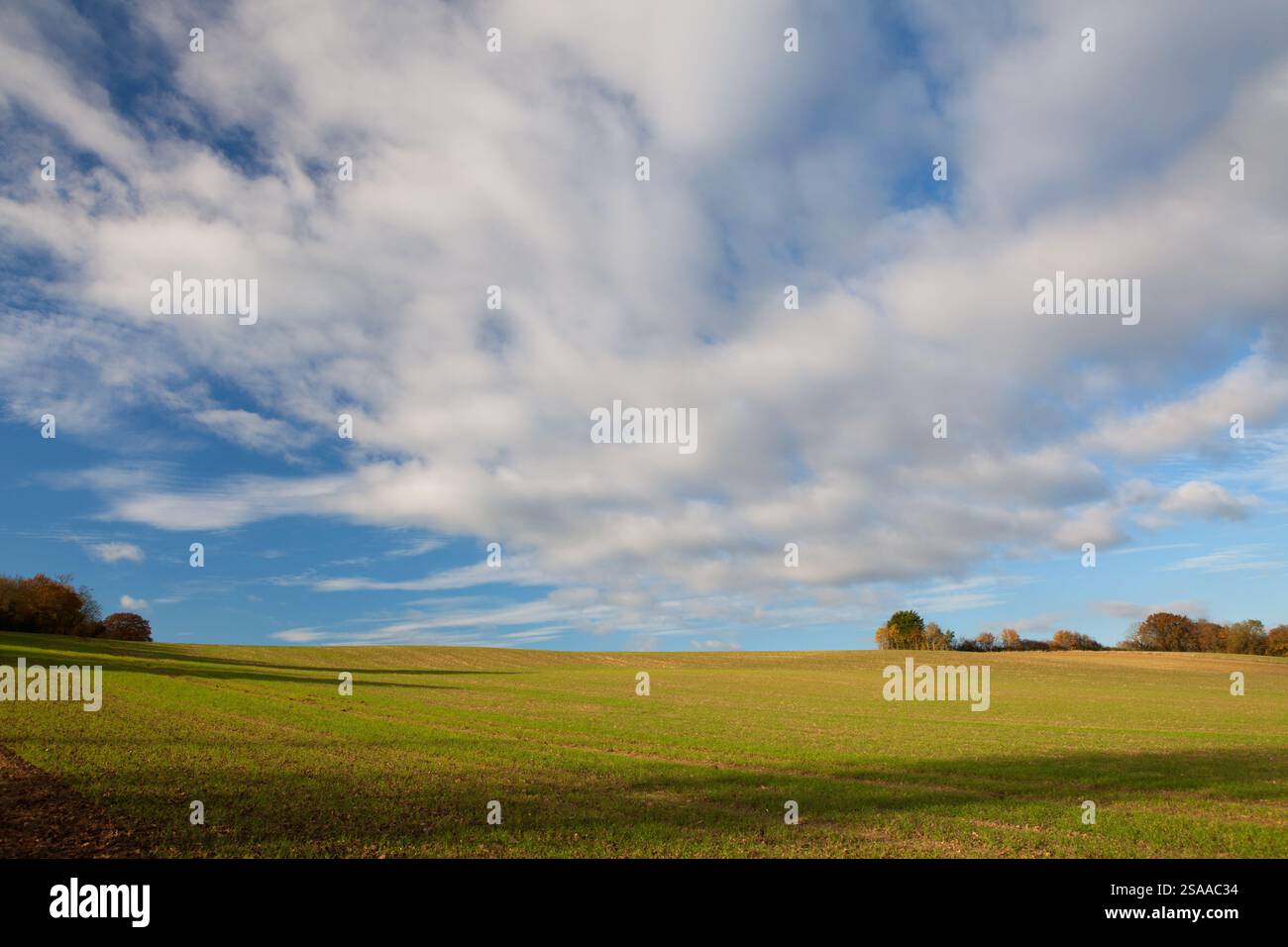 Cumulus clouds blue sky norfolk england uk hi-res stock photography and ...