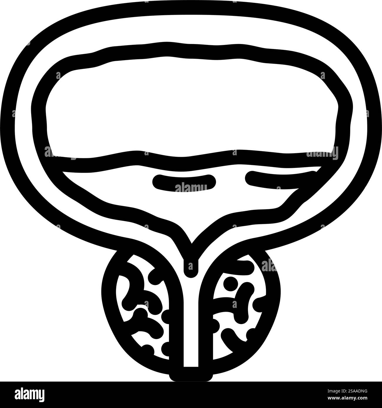 prostate health man disease line icon vector. prostate health man ...