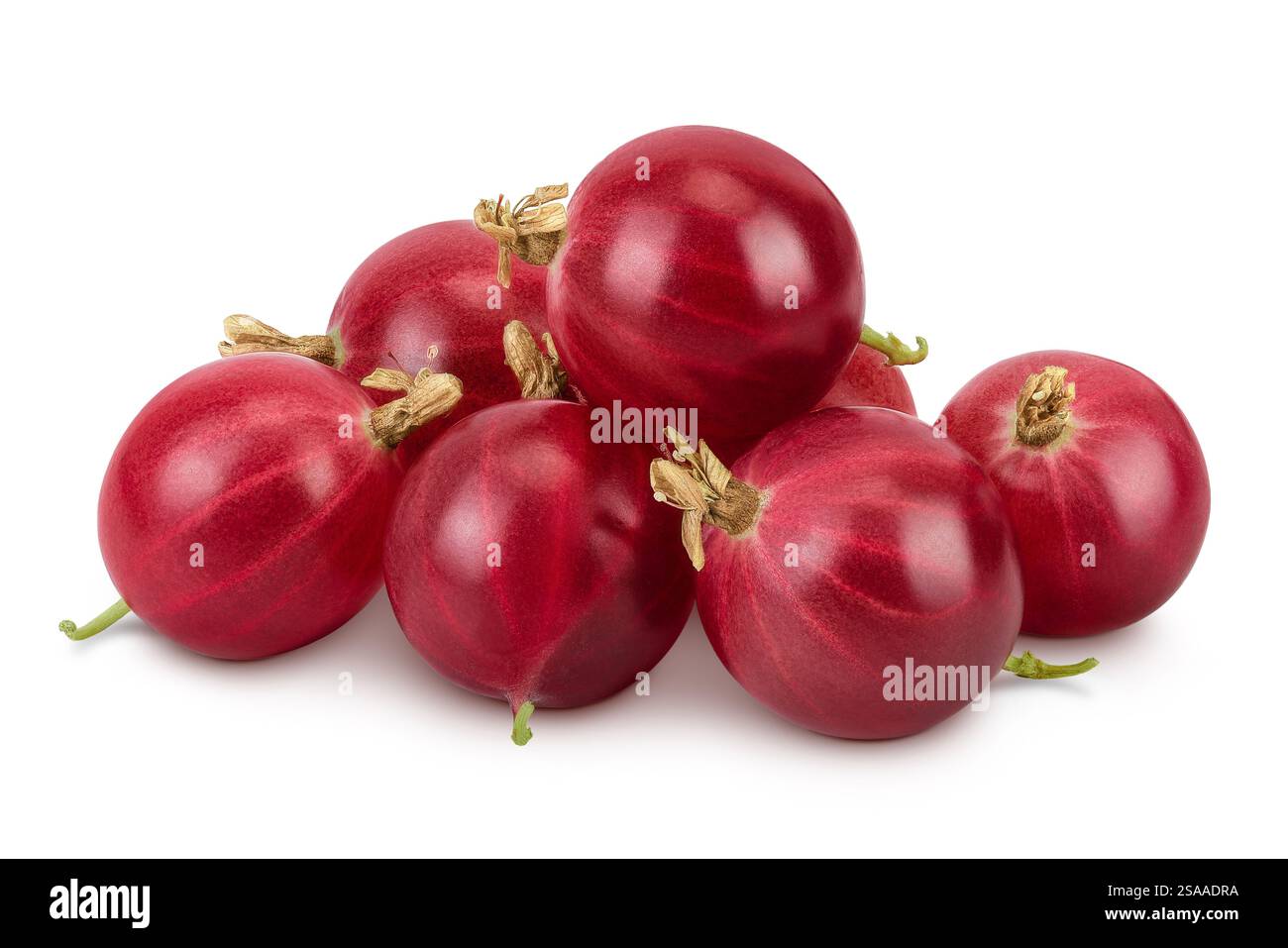 Red gooseberry isolated on white background with full depth of field ...