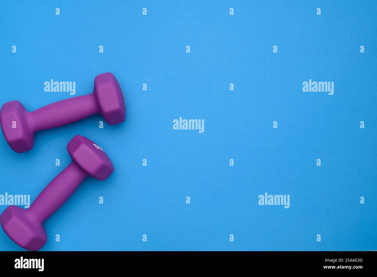 The layout of two rubberized dumbbells of 2 kg of purple color on a ...