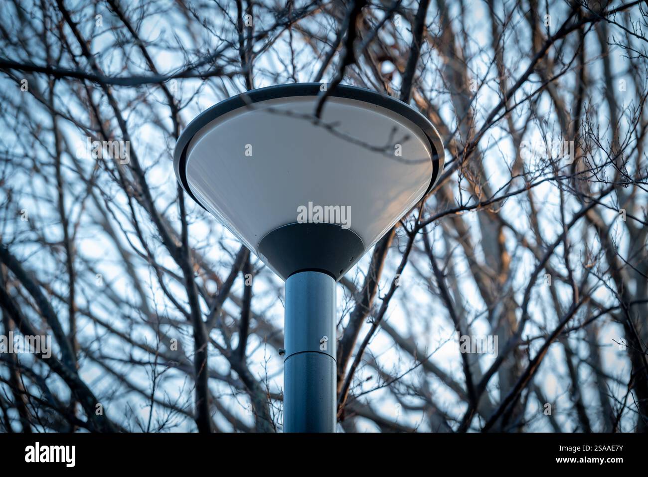 Inverted cone-type street lamp in the woods Stock Photo - Alamy
