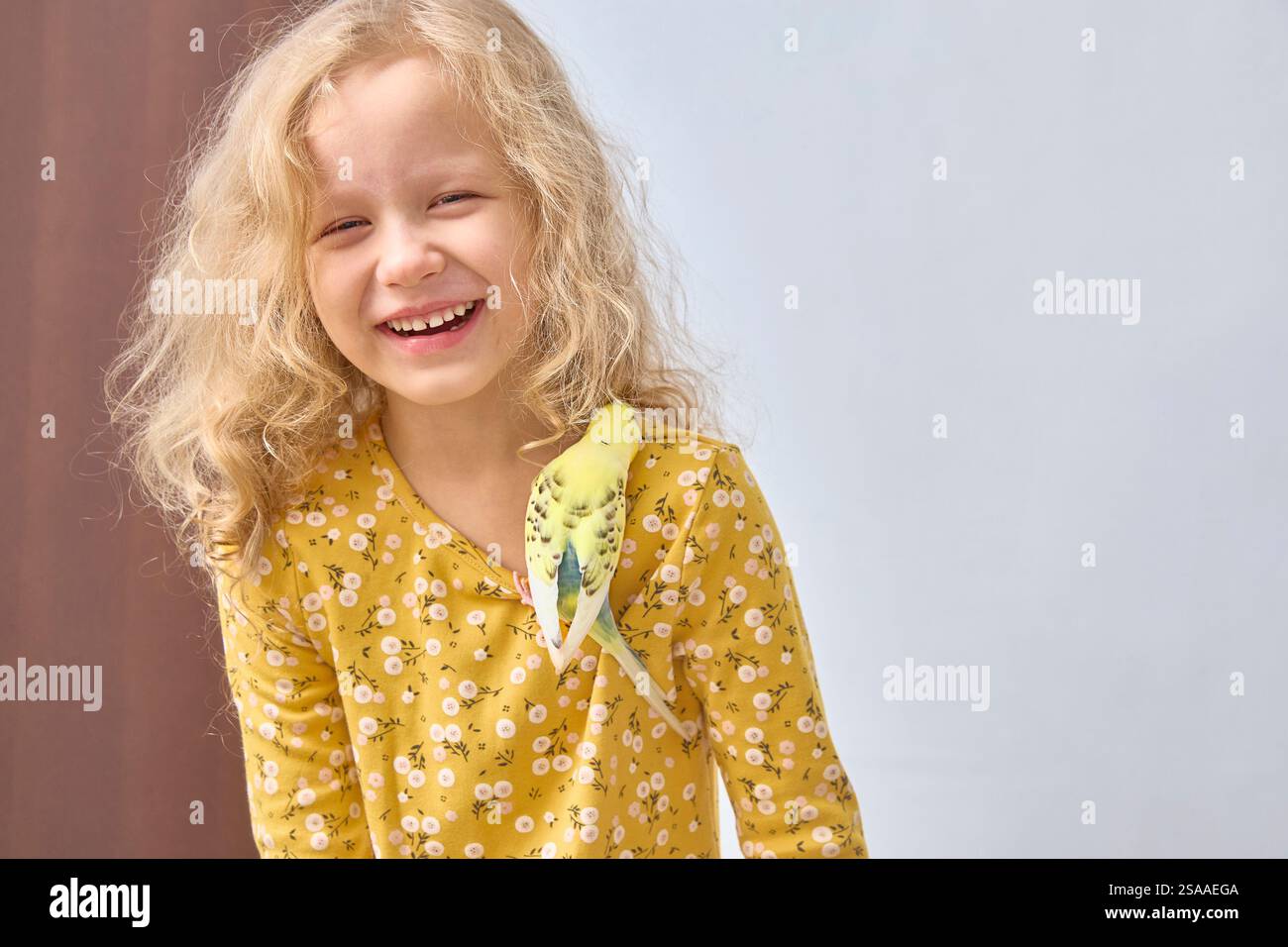 A laughing girl plays a budgie on a cage. The concept of friendship ...