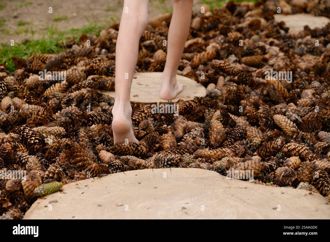 Child walks barefoot along massage tactile eco-trail, walking path made ...
