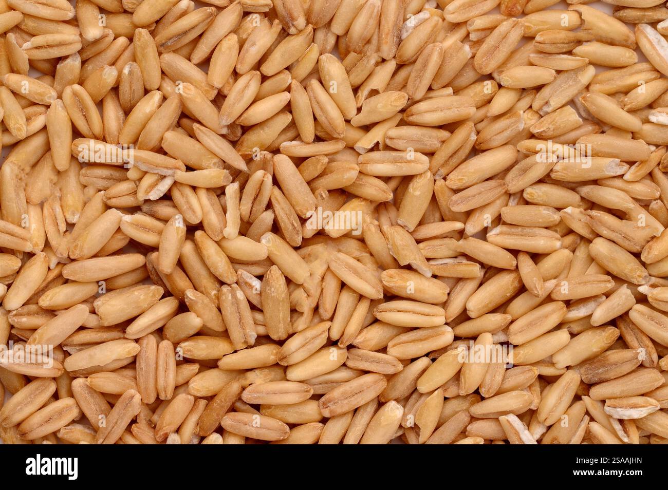 Macro photo of oatmeal.Texture, background of dry uncrushed oatmeal ...