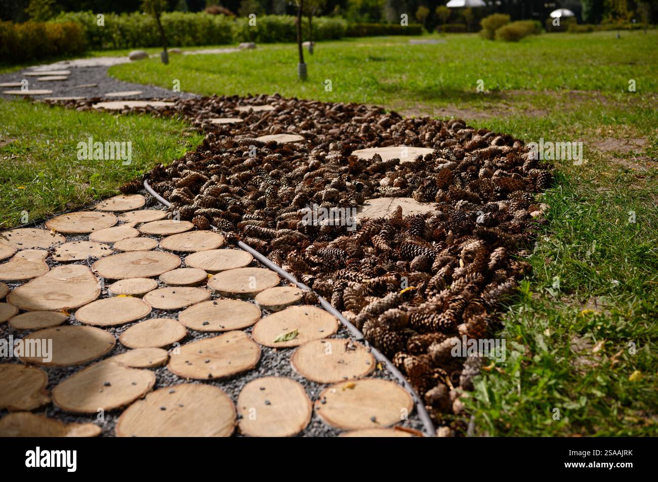 Tactile massage eco trail with different textures in the park for ...