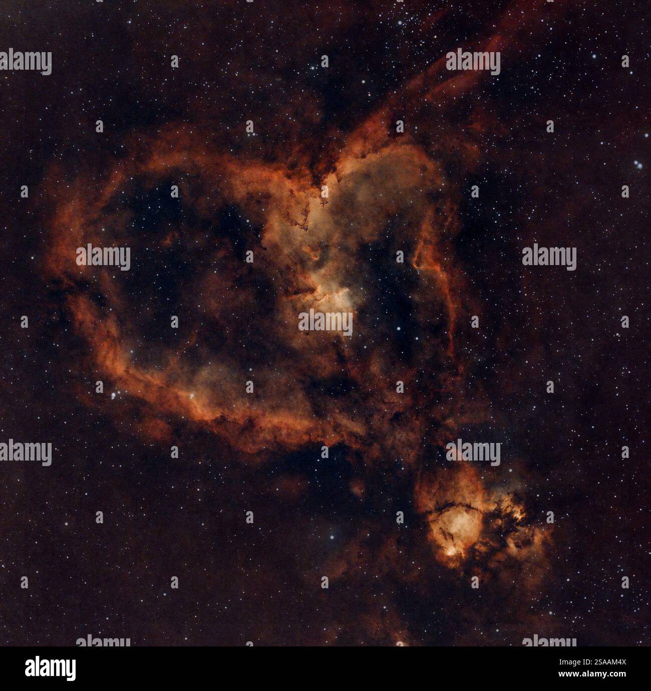 Heart Nebula in Constellation Cassiopeia 26 January 2025 Stock Photo - Alamy