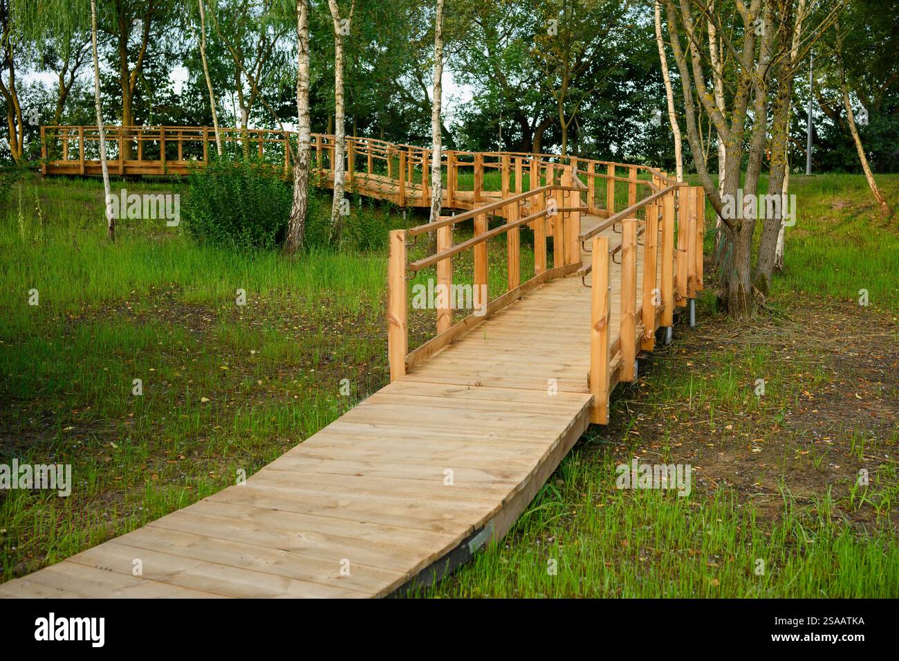 Natural wooden walking path with railings in an eco-estate in nature ...