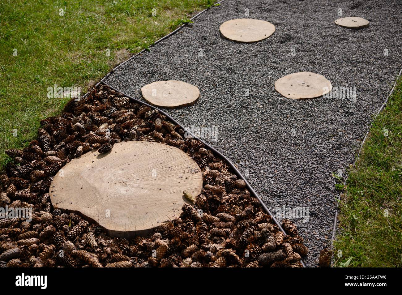 Massage eco-trail with materials of different textures: pine cones ...