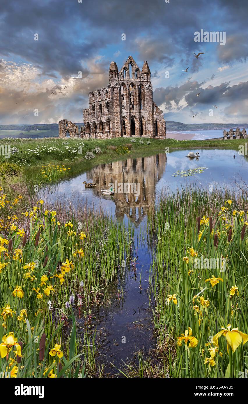 Picturesque gothic medieval ruins of Whitby Abbey, North Yorkshire ...
