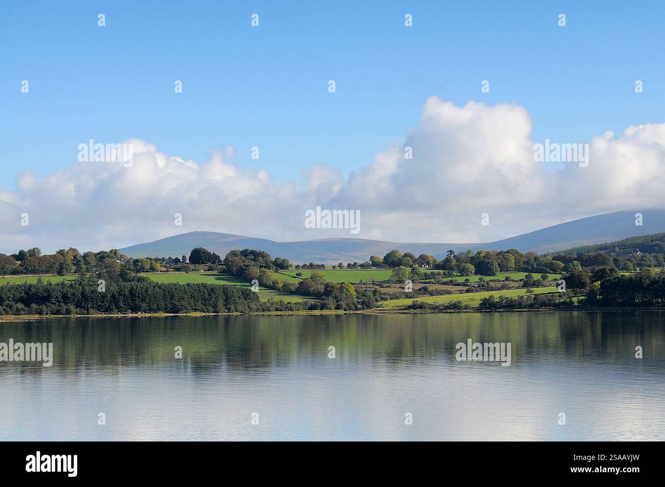 Blessington Lake, County Wicklow,Ireland Stock Photo - Alamy