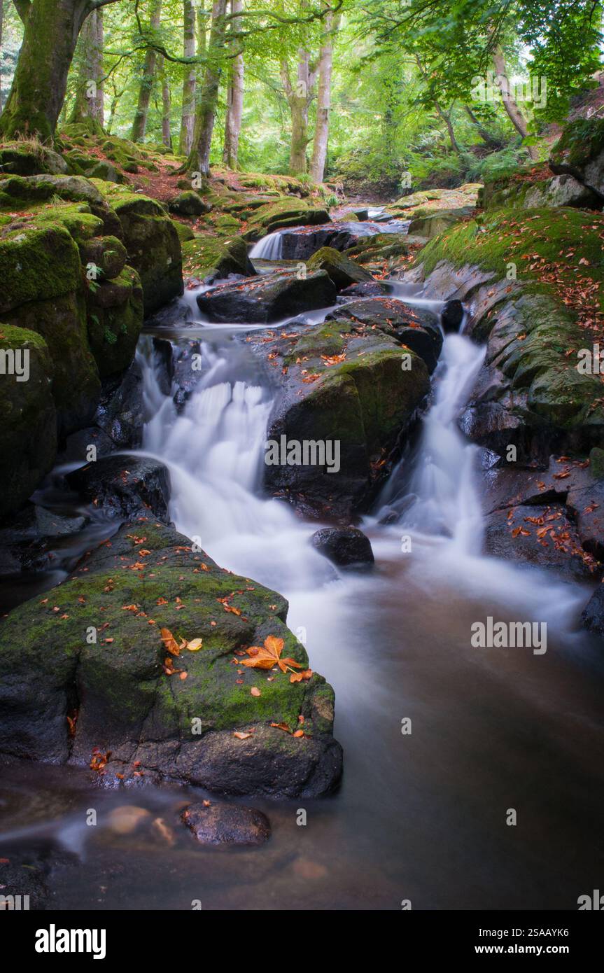 The Shankill River at Cloghleagh Bridge ,Kilbride ,County Wicklow ...