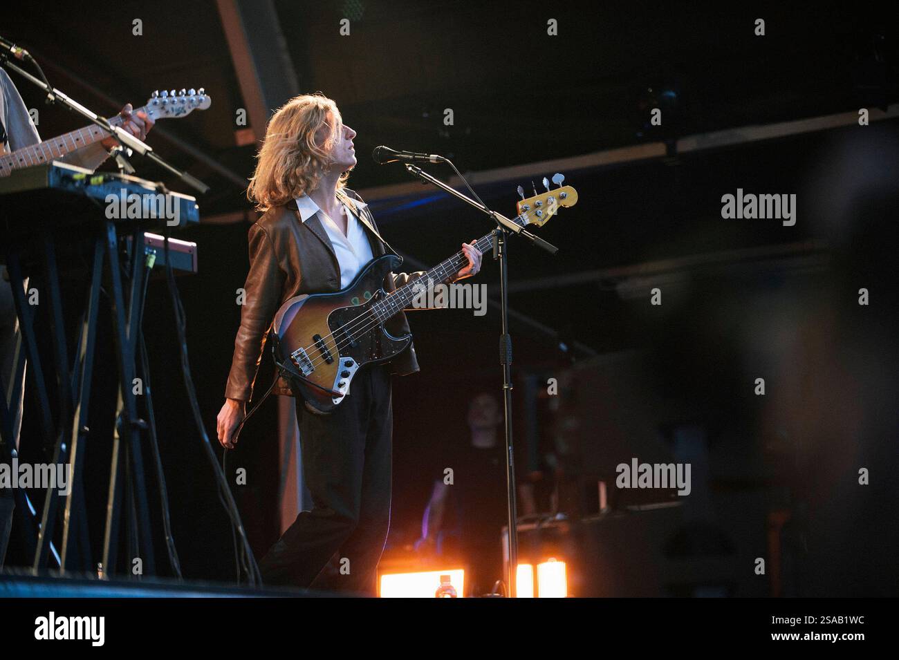 Toto serret hi-res stock photography and images - Alamy