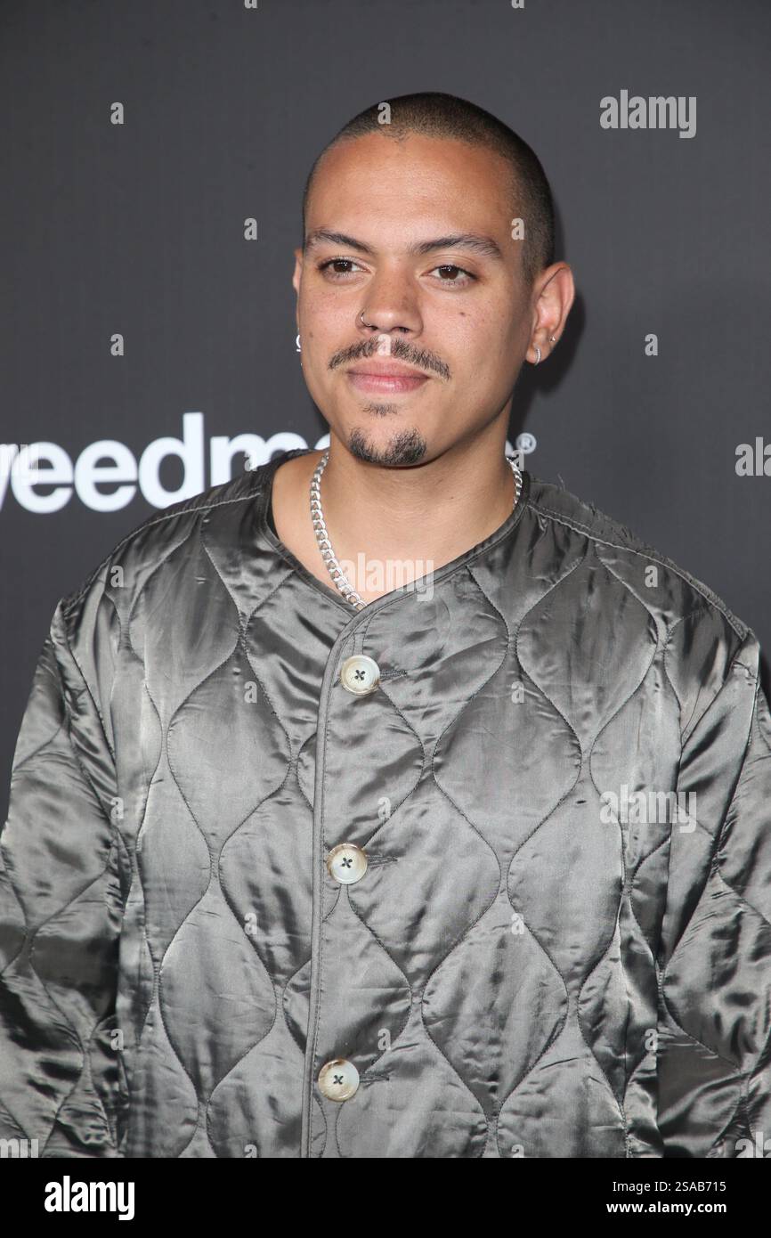 Evan Ross at The Weedmaps Museum of Weed Grand Opening, Los Angeles ...