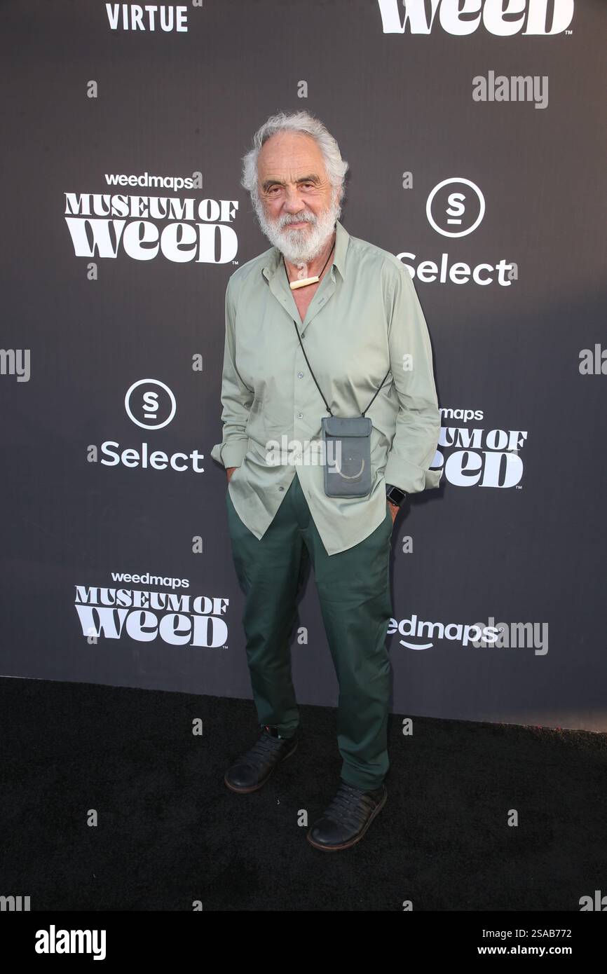 Tommy Chong at The Weedmaps Museum of Weed Grand Opening, Los Angeles ...
