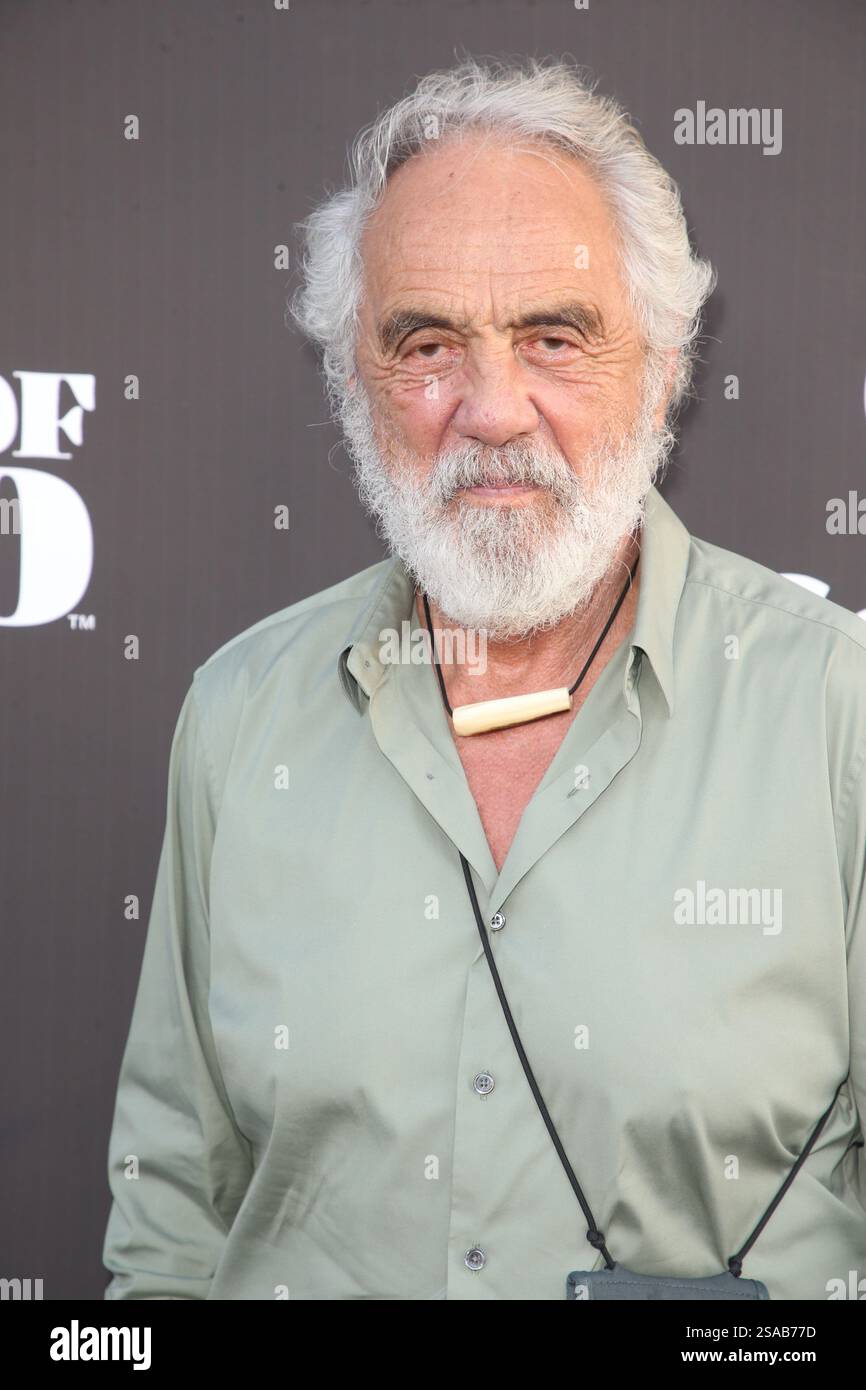 Tommy Chong at The Weedmaps Museum of Weed Grand Opening, Los Angeles ...