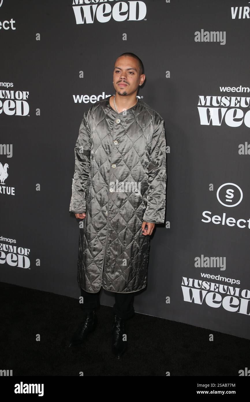 Evan Ross at The Weedmaps Museum of Weed Grand Opening, Los Angeles ...
