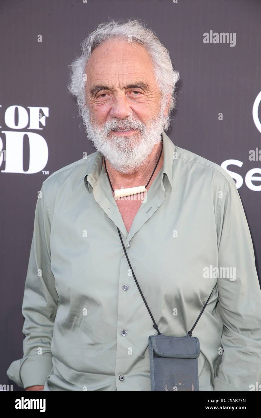 Tommy Chong at The Weedmaps Museum of Weed Grand Opening, Los Angeles ...